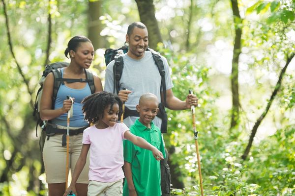 55+ Best List of Hobbies For Families (To Try in 2025)