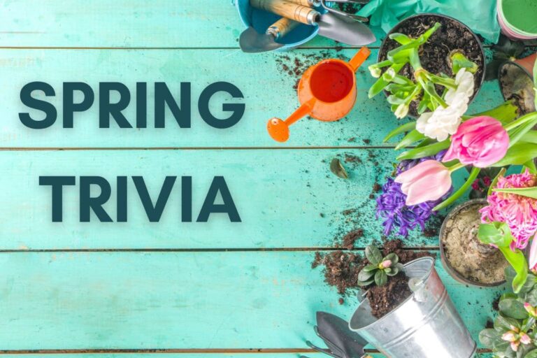 140 Spring Trivia Questions (To Spring Into Fun) In 2025