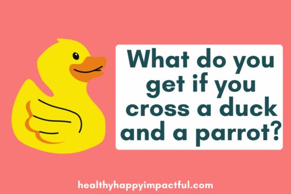 250 Funny Duck Jokes & Farmyard Jokes (To Keep You Laughing)