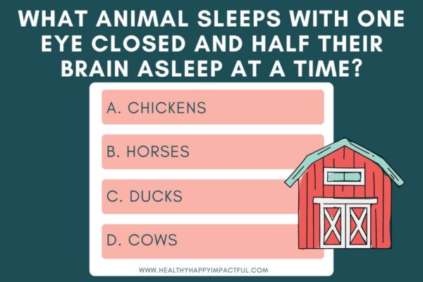 210 Best Animal Trivia Questions And Answers (2026) - Healthy Happy ...