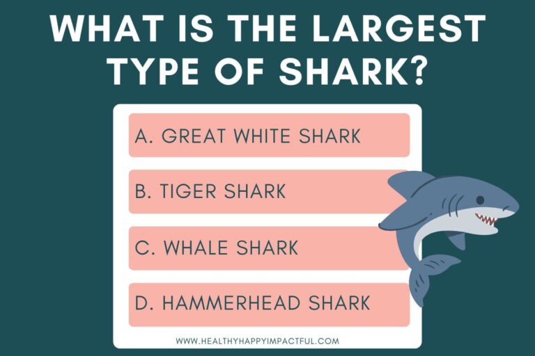 210 Best Animal Trivia Questions And Answers (2026) - Healthy Happy ...