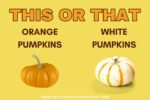 150 Fun Fall This or That Questions For All Ages (Free Printable ...