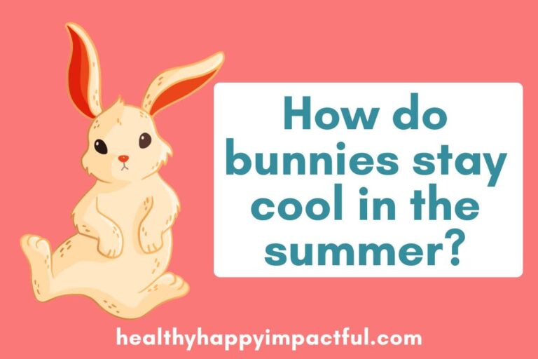 100 Funny Bunny Rabbit Jokes, Riddles, & Puns (For Kids) 2026